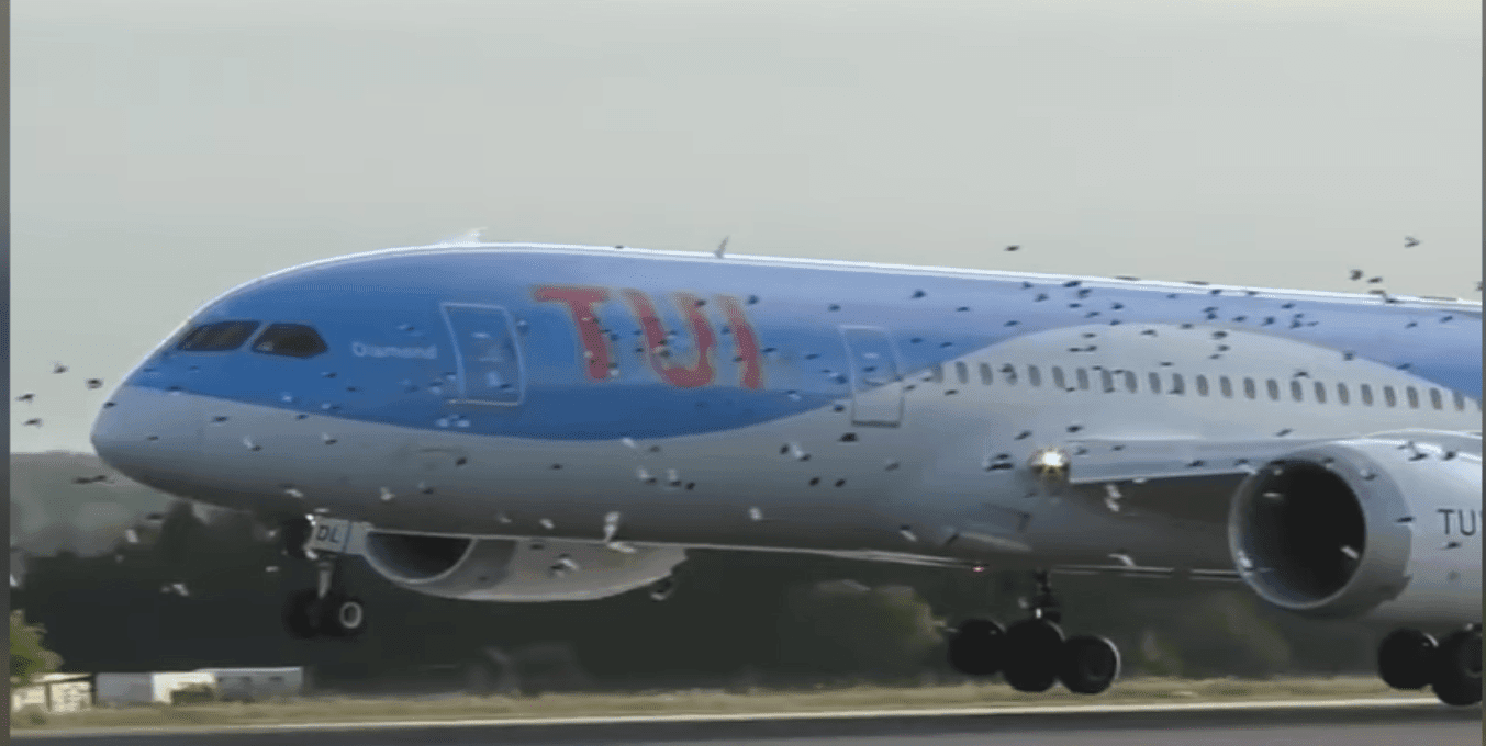 Images spectaculaires de 2 atterrissages d’avions au milieu d’une nuée ...